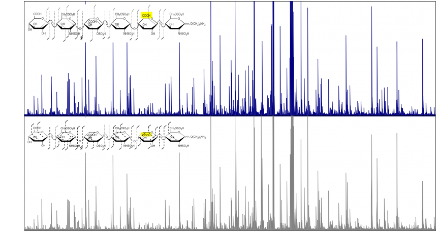 FT-ICR MS GAG Sequencing | Amster Lab